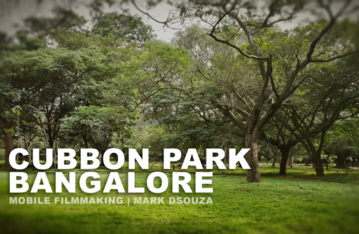 Discover the Hidden Gems of Cubbon Park, Bangalore: A Green Oasis in ...